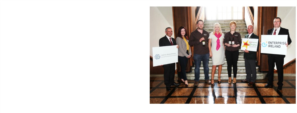 Local Enterprise Office - Cavan