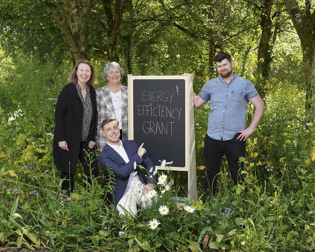 Energy Efficiency Grant - Local Enterprise Office - Meath